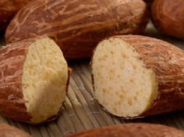 AGROBENIN – Agriculture – Agroalimentaire et Elevages au Bénin